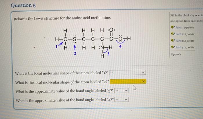 Solved Question 5 Below is the Lewis structure for the amino | Chegg.com