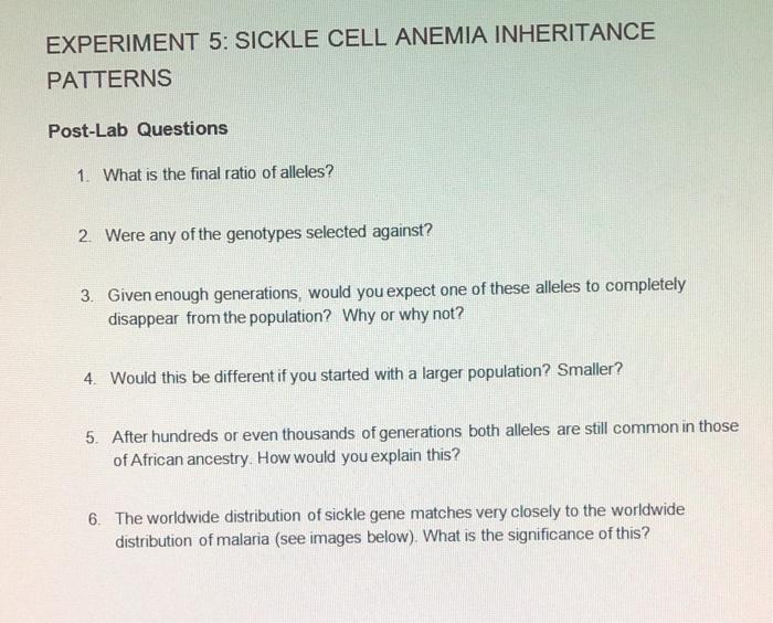Solved EXPERIMENT 5: SICKLE CELL ANEMIA INHERITANCE PATTERNS | Chegg.com