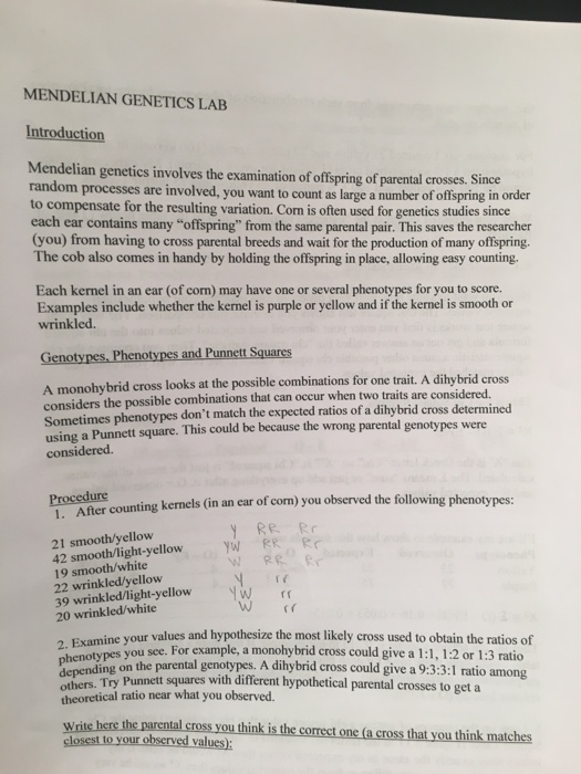 Solved MENDELIAN GENETICS LAB Introduction Mendelian | Chegg.com
