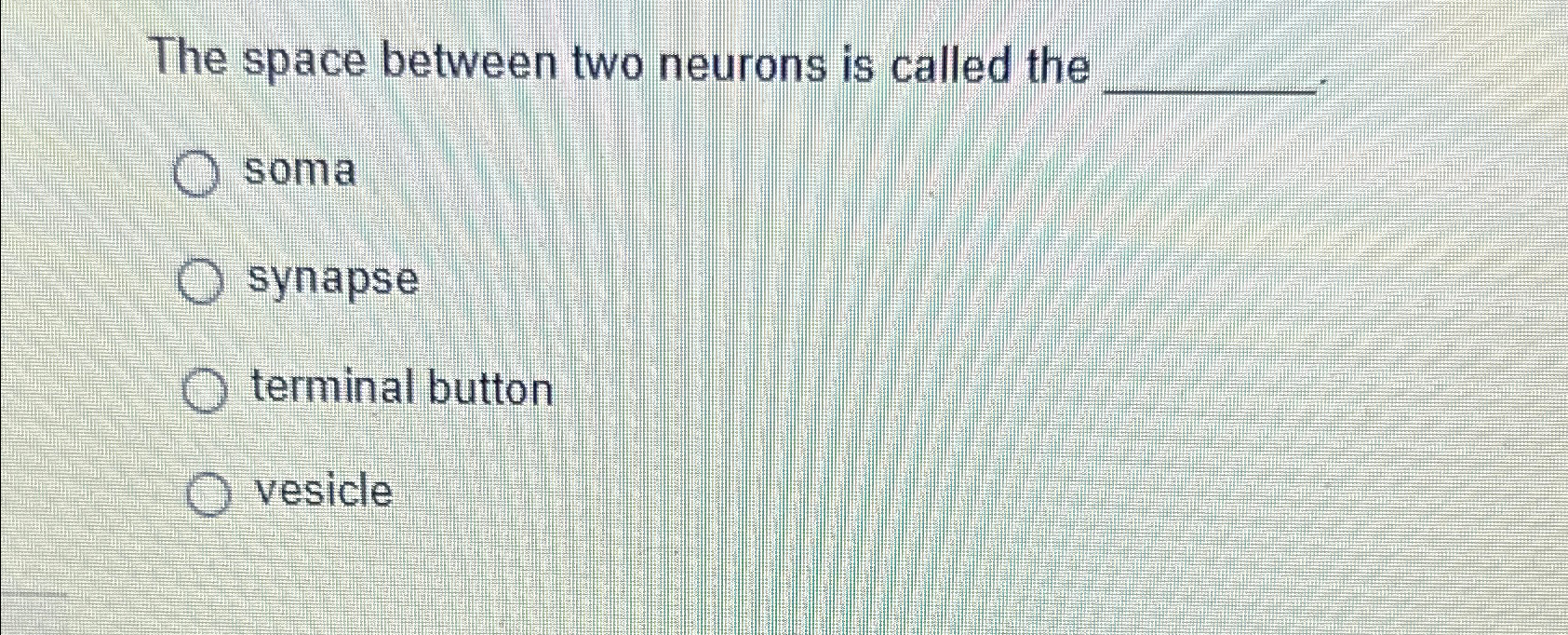 Solved The space between two neurons is called | Chegg.com