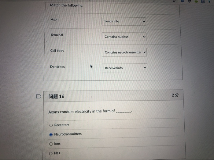 Solved Match the following: Axon Sends info Terminal | Chegg.com