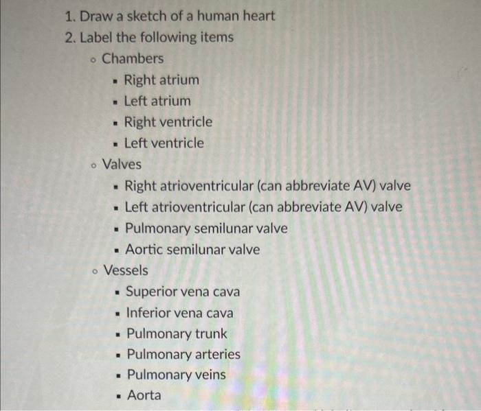 Solved 1. Draw a sketch of a human heart 2. Label the | Chegg.com