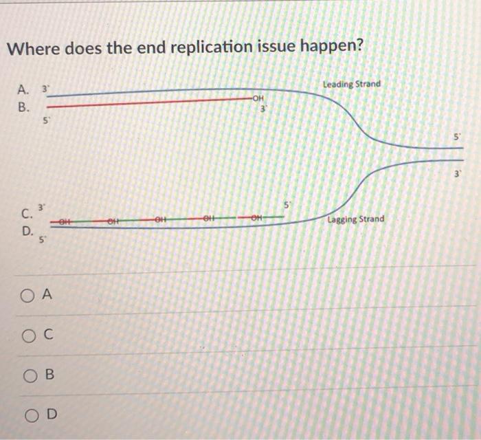 Solved Where does the end replication issue happen? Leading | Chegg.com