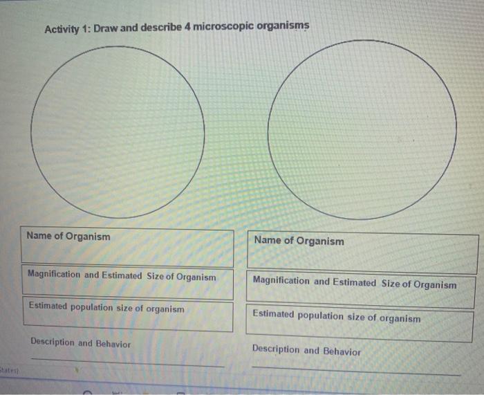 Solved Activity 1: Draw and describe your 4 macroscopic pond | Chegg.com