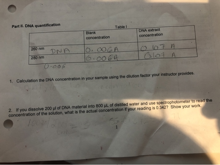 Solved Part II. DNA quantification Table I Blank | Chegg.com