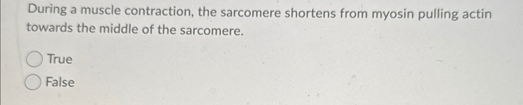 Solved During a muscle contraction, the sarcomere shortens | Chegg.com