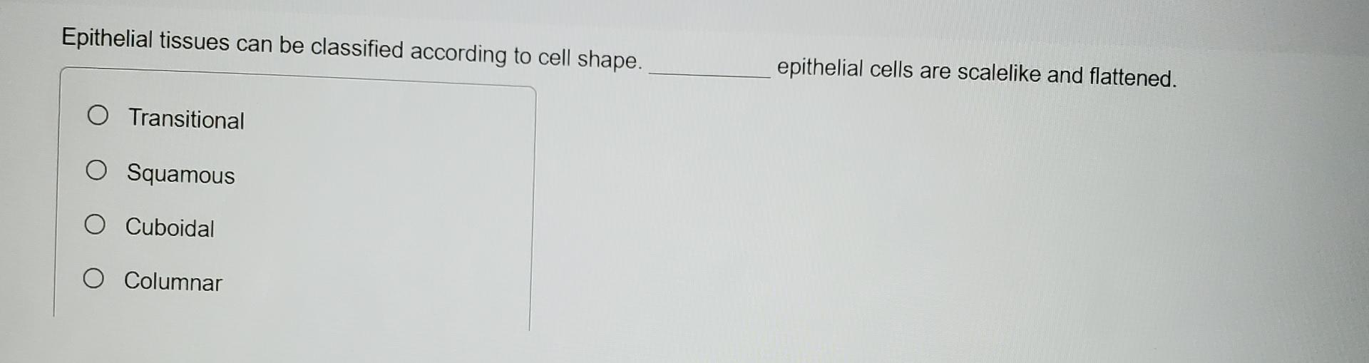 Solved Epithelial tissues can be classified according to | Chegg.com