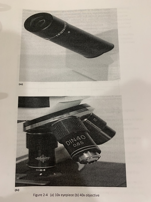 Light path Figure 2-3 Microscope showing the path of | Chegg.com