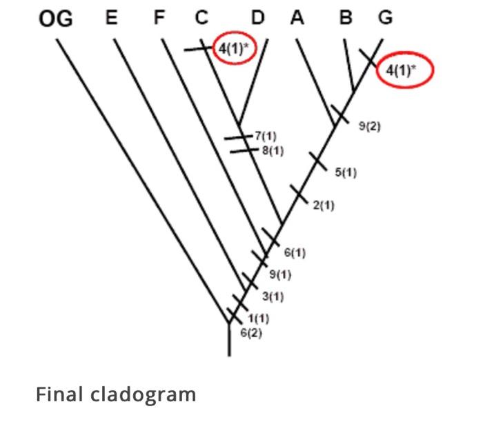 10 11 12 Anton trogenous Westes Horar Ad Neph ystem | Chegg.com