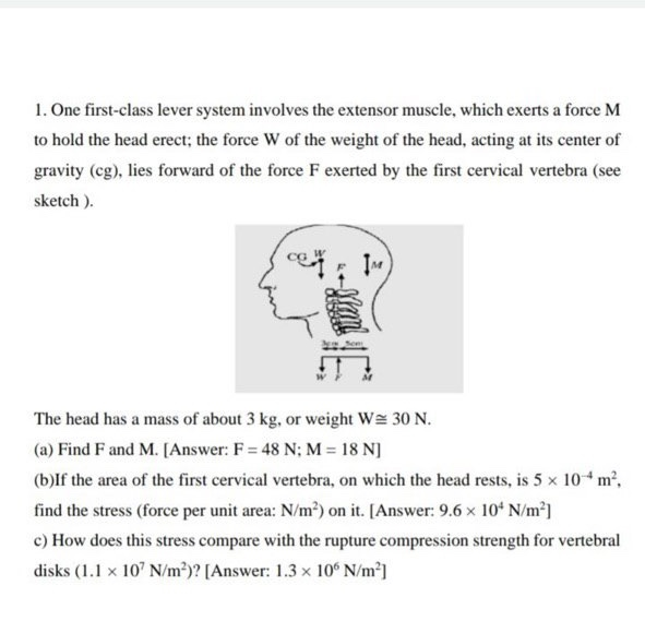 Solved 1. One first-class lever system involves the extensor | Chegg.com