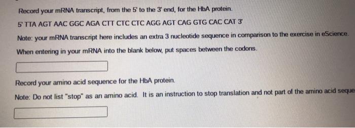 Solved Record your mRNA transcript, from the 5 to the 3' | Chegg.com