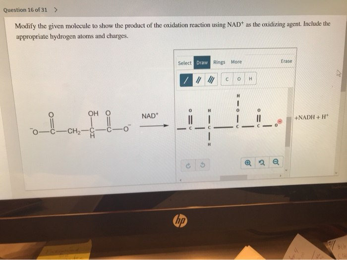 Solved Question 16 of 31 > Modify the given molecule to show | Chegg.com
