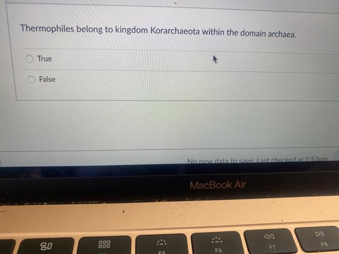 Solved Thermophiles belong to kingdom Korarchaeota within | Chegg.com