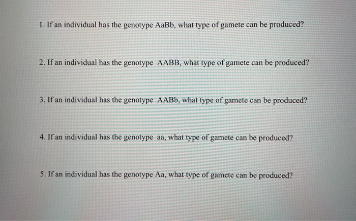 Solved 1. If an individual has the genotype AaBb, what type | Chegg.com