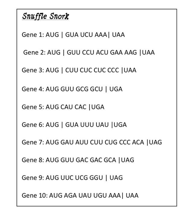 Solved Please help with this DNA, RNA, and SNORKS activity. | Chegg.com