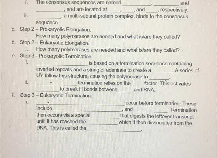 Solved Word bank: termination, elongation, initiation, | Chegg.com