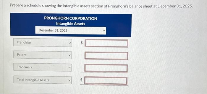 Prepare a schedule showing the intangible assets | Chegg.com