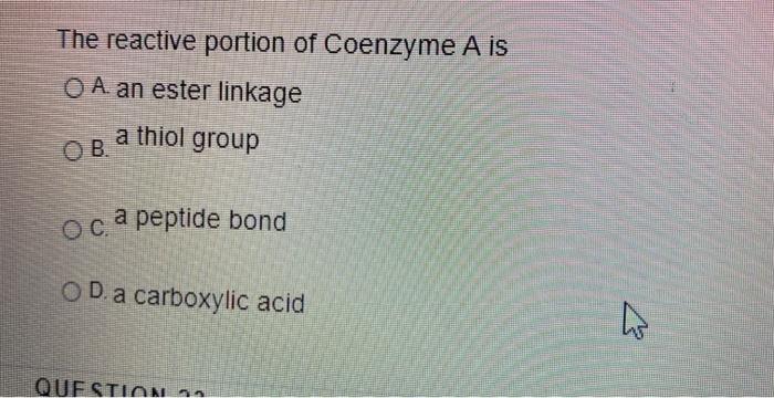 Solved Succinate OOC-CH2-CH2-COO is the substrate for | Chegg.com