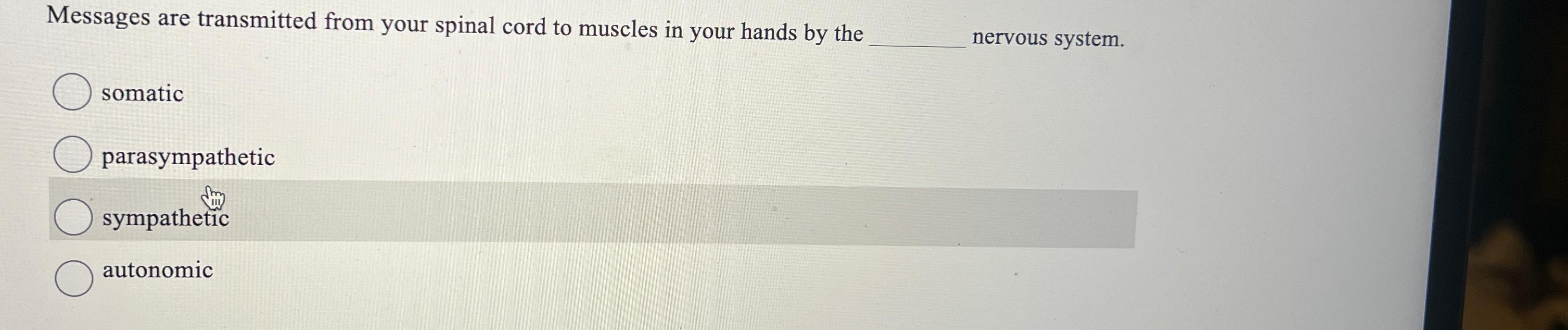 Solved Messages are transmitted from your spinal cord to | Chegg.com