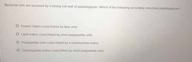 Solved Bacterial cells are encased by a strong cell wall of | Chegg.com