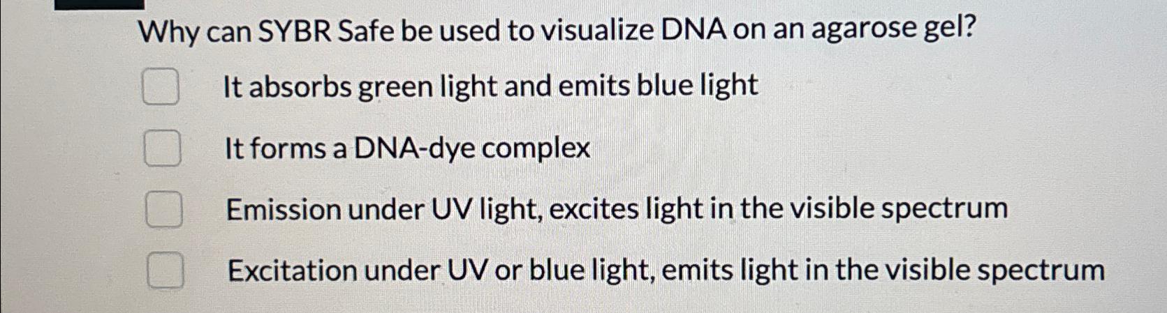 Solved Why can SYBR Safe be used to visualize DNA on an | Chegg.com
