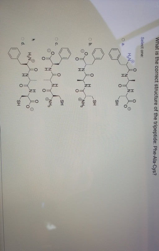 Solved What is the correct structure of the tripeptide: | Chegg.com