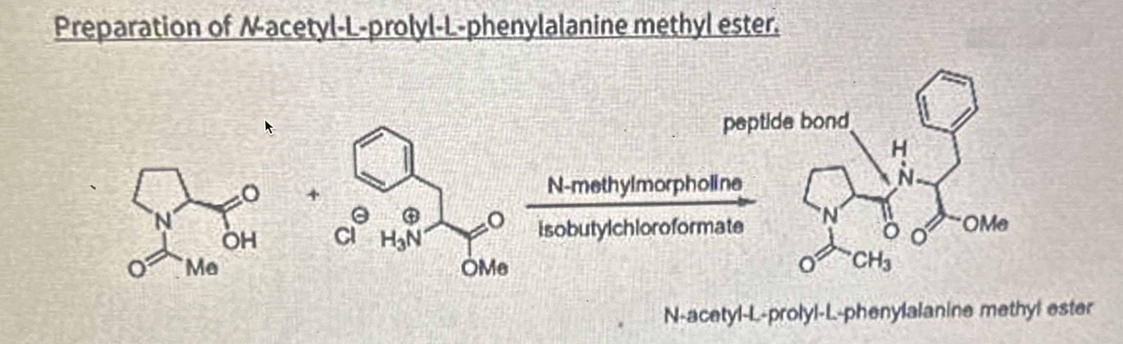 Solved N -acetyl-L-prolyl-L-phenylalanine methyl ester full | Chegg.com