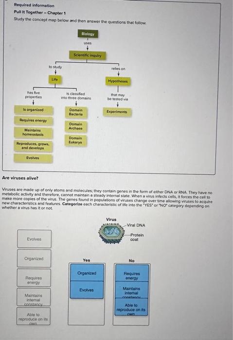 Solved Required information Pull it Togethor - Chapter 1 | Chegg.com
