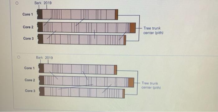 Solved Tree Ring Cores as Indicators of Local Climate The | Chegg.com
