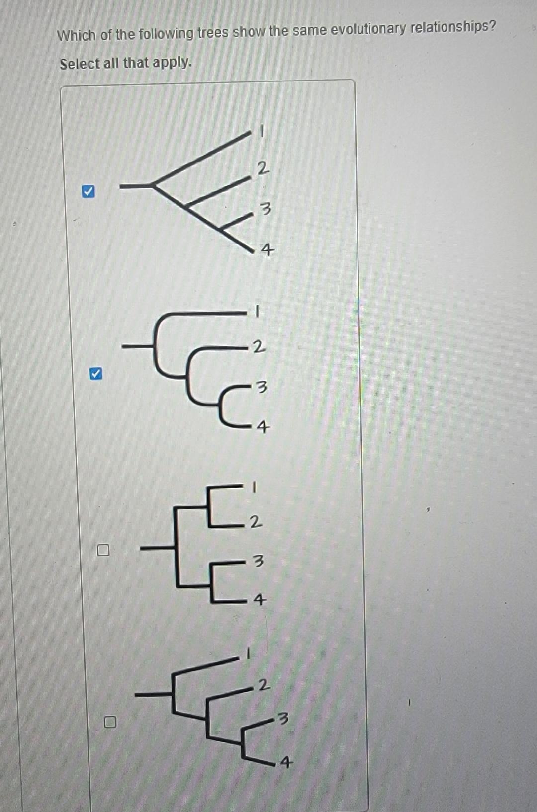 Solved Which of the following trees show the same | Chegg.com