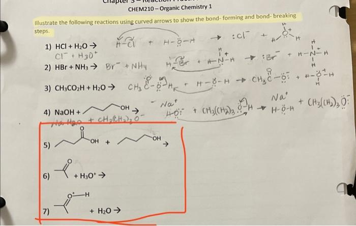 Solved Illustrate the following reactions using curved | Chegg.com