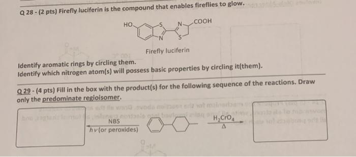 Solved Q28 - (2 pts) Firefly luciferin is the compound that | Chegg.com