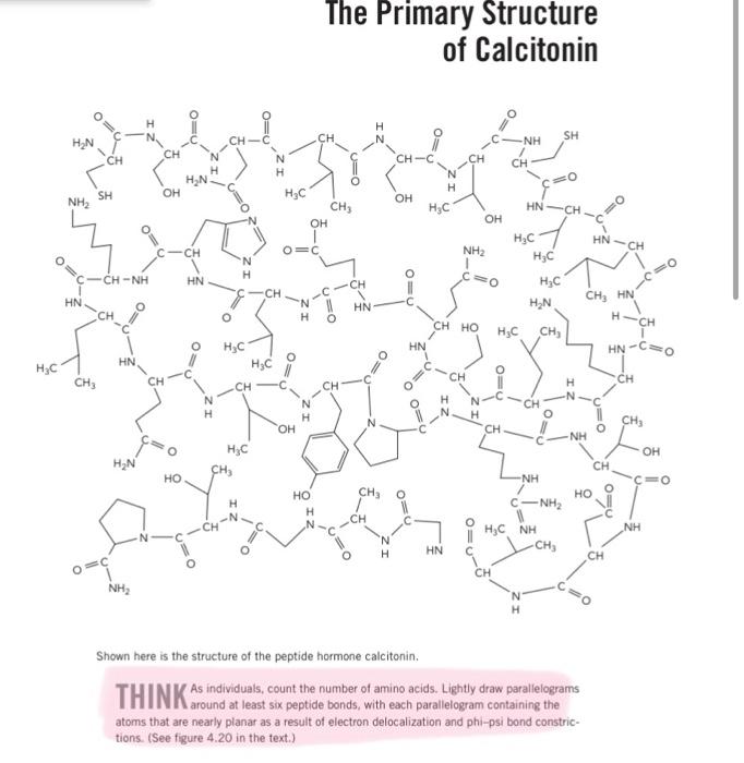 Solved The Primary Structure of Calcitonin i H CH CH SH NH | Chegg.com