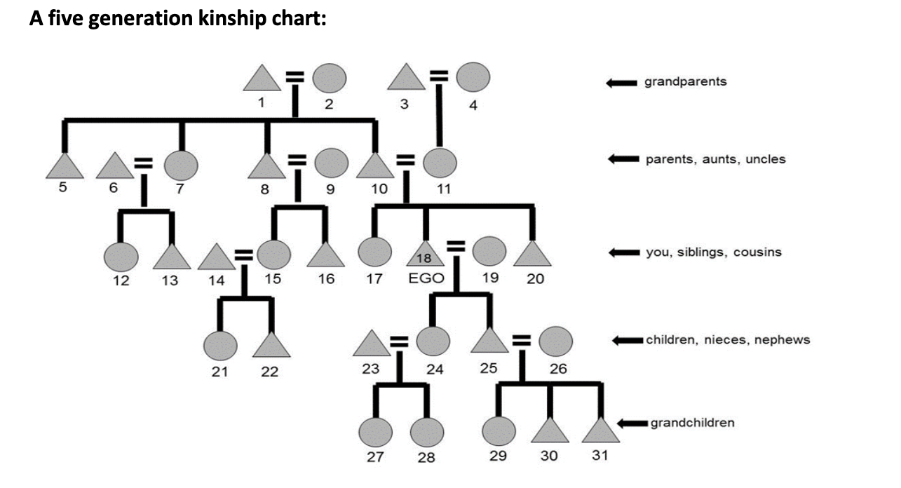 Solved Symbol MeaningO Female relative ∆ ﻿Male | Chegg.com
