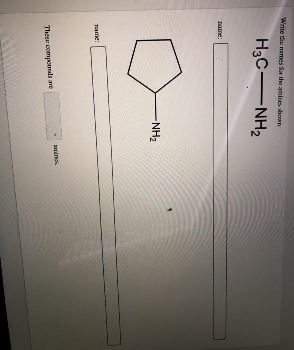 Solved Write the names for the amines shown. H3C-NH2 name: | Chegg.com