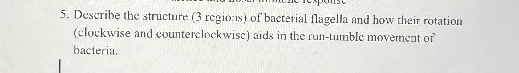 Solved Describe the structure ( 3 ﻿regions) ﻿of bacterial | Chegg.com