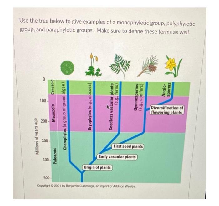 Solved Use the tree below to give examples of a monophyletic | Chegg.com