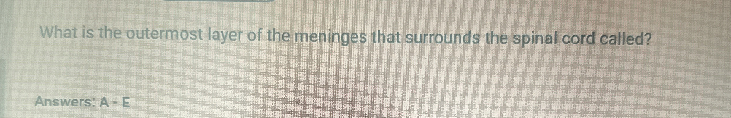 Solved What is the outermost layer of the meninges that | Chegg.com