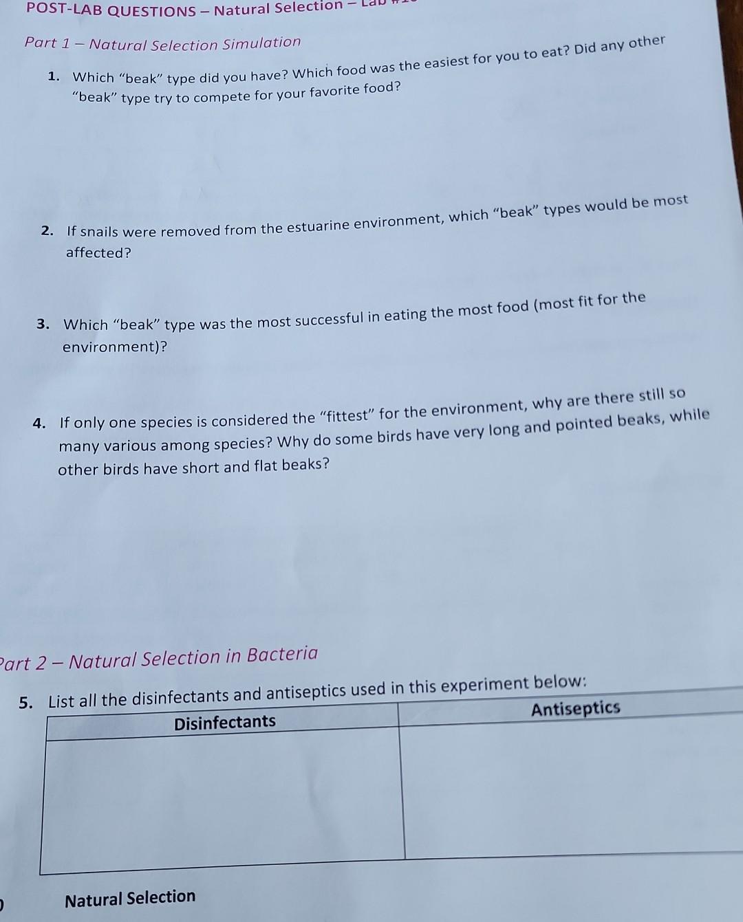 Solved Part 1 - Natural Selection Simulation 1. Which "beak" | Chegg.com