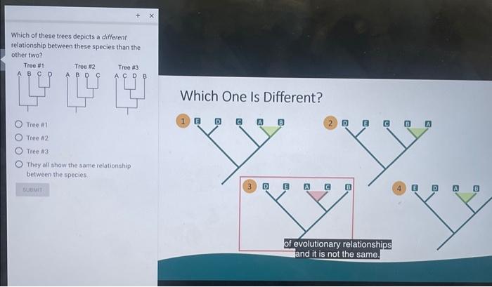 Solved Which of these trees depicts a different relationship | Chegg.com