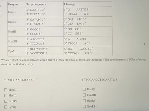 Solved \table[[Enxyme,Target sequence,Cleavage],[EooRI,5' | Chegg.com