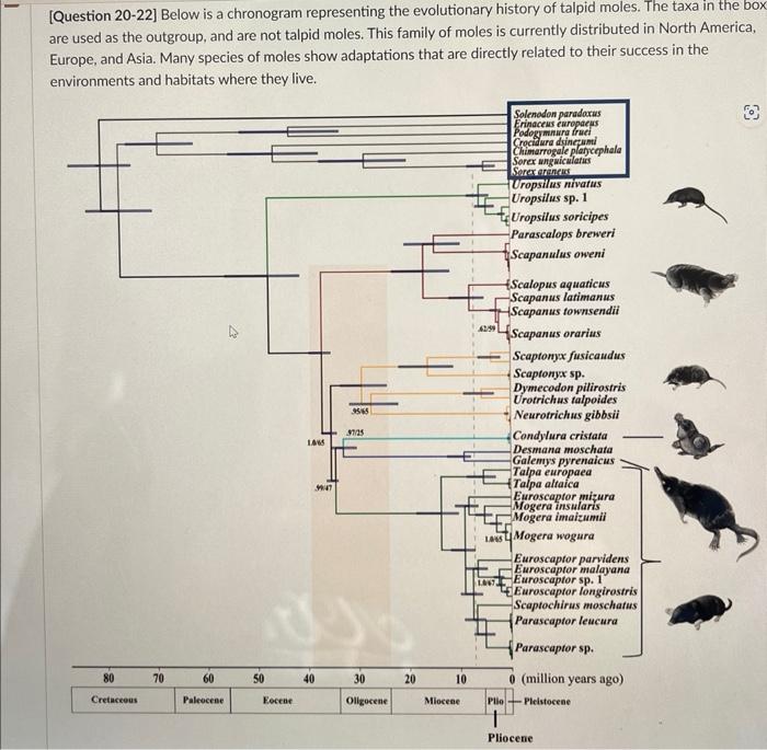 Solved [Question 20-22] Below is a chronogram representing | Chegg.com