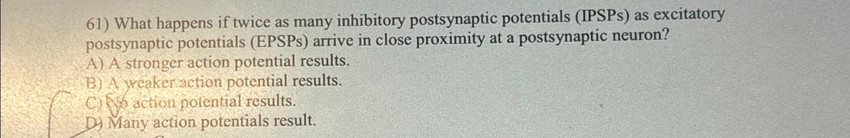 Solved What happens if twice as many inhibitory postsynaptic | Chegg.com