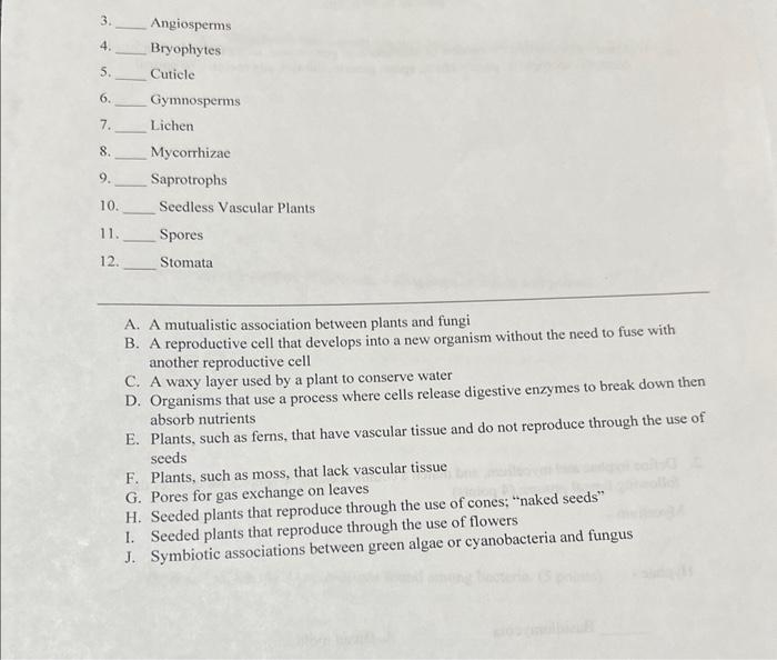 Solved 3. Angiosperms 4. Bryophytes 5. Cuticle 6. | Chegg.com