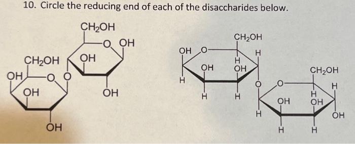 Solved 0 . Circle the reducing end of each of the | Chegg.com