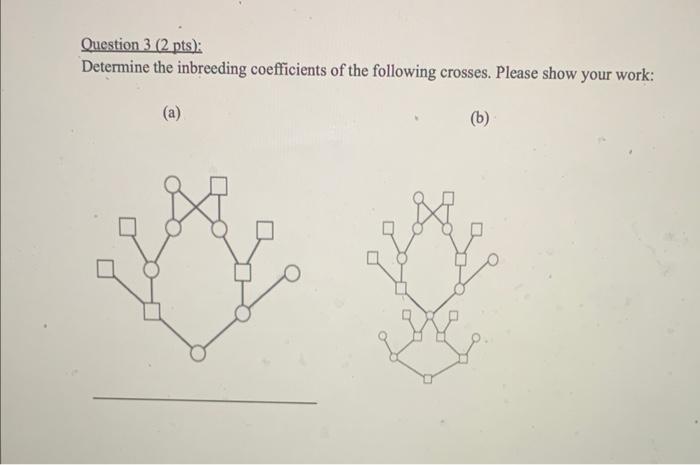 Solved Question 3(2pts); Determine the inbreeding | Chegg.com