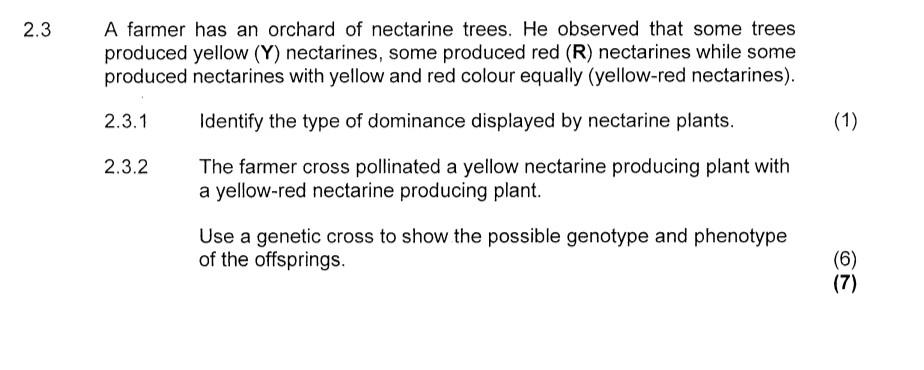 A Farmer Has An Orchard Of Nectarine Trees He