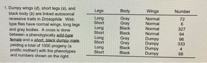 Solved Number 1. Dumpy wings (d), short legs (s), and black | Chegg.com
