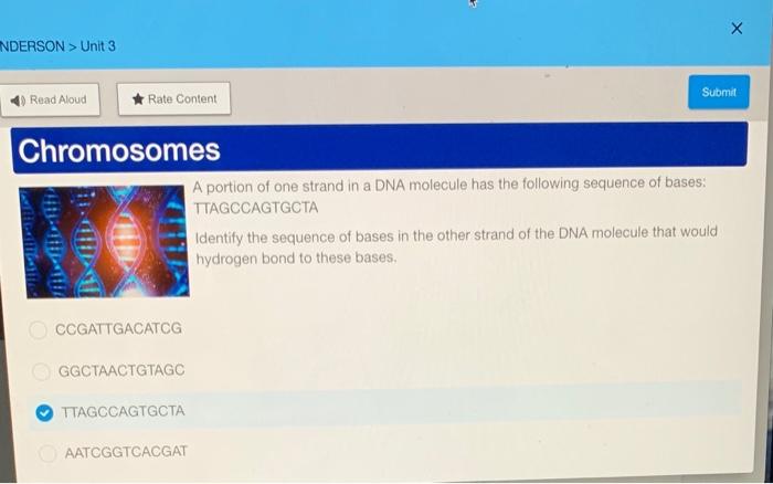 Solved NDERSON > Unit 3 Submit Read Aloud Rate Content | Chegg.com