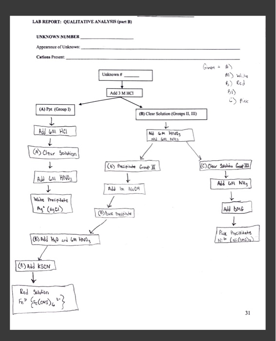 Solved LAB REPORT: QUALITATIVE ANALYSIS (part B) UNKNOWN | Chegg.com